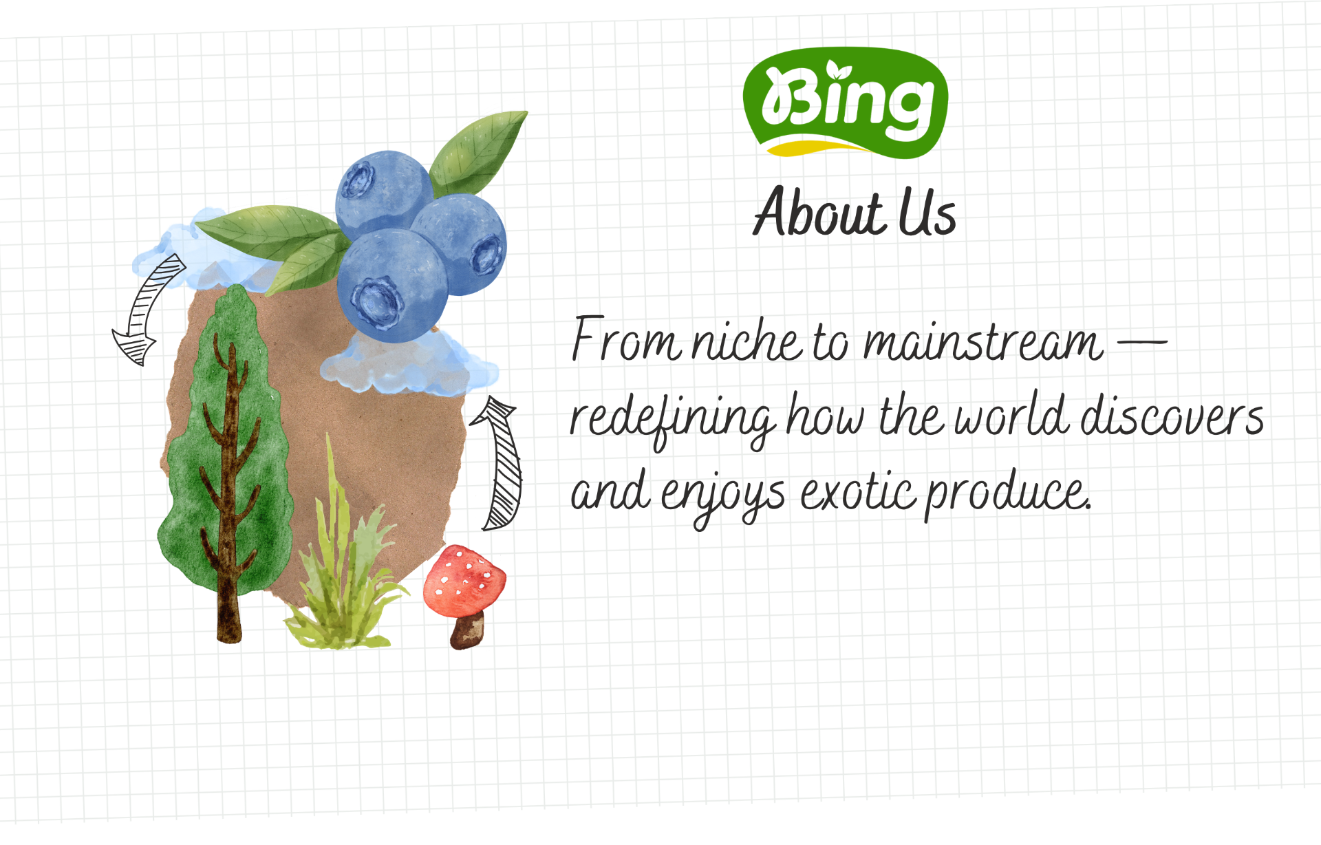 https://www.bingbingfoods.com/